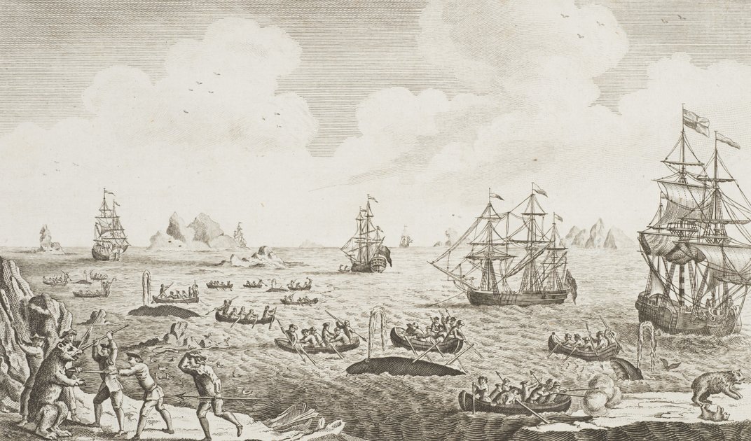 London’s whaling trade: Blubber & baleen | London Museum