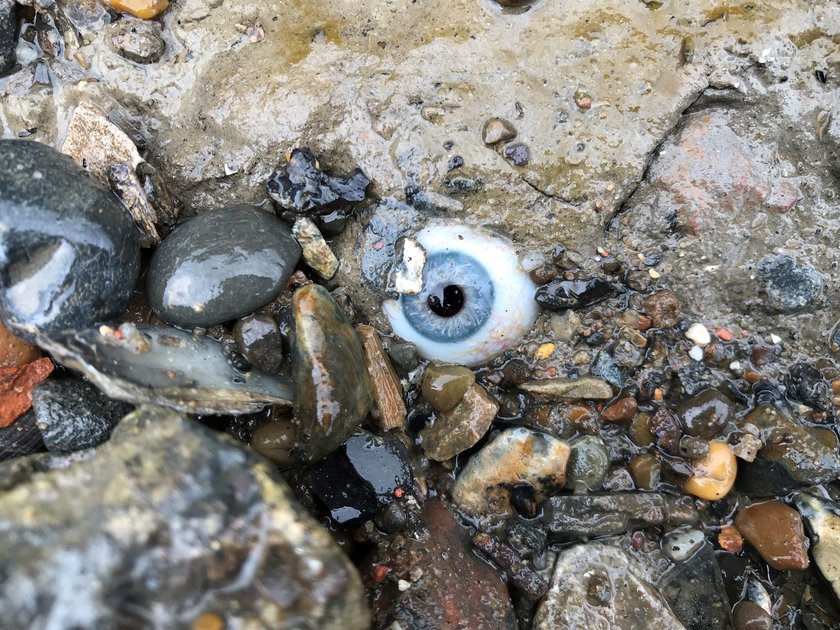 Five surprising finds from the Thames foreshore | London Museum